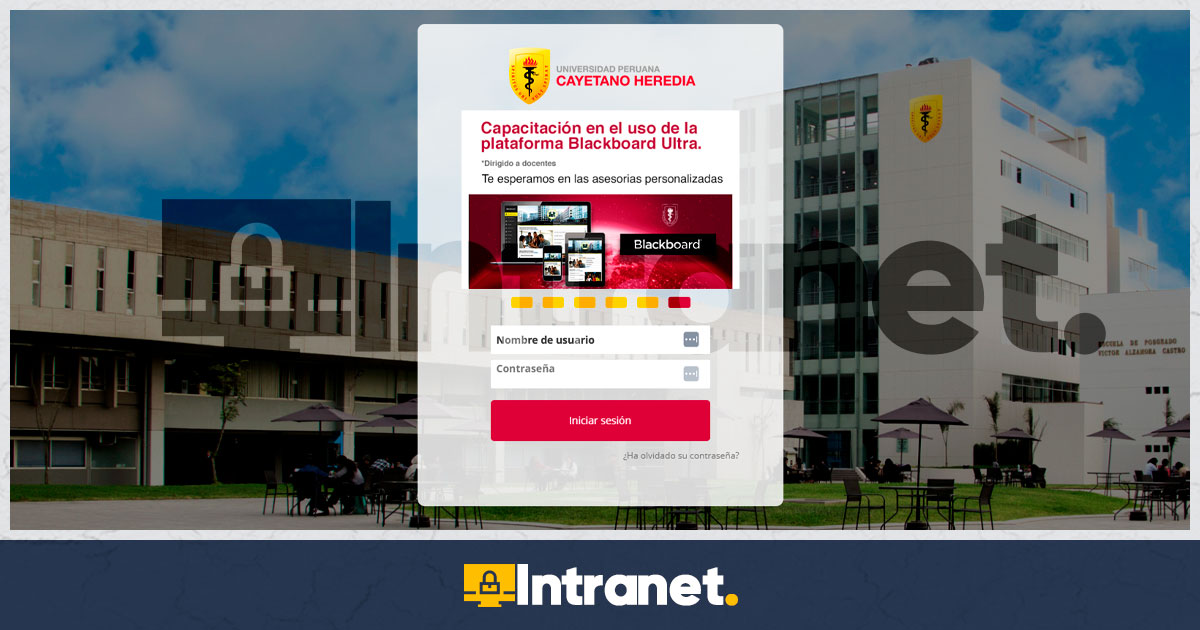 ᐈ Blackboard UPCH Online ¿Cómo Ingresar? ️ «•[ INTRANET ]•»